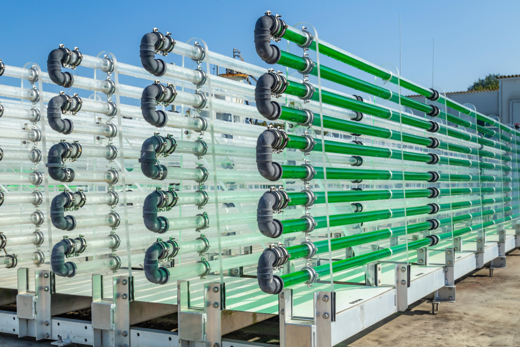 Circular Bio-based Europe Joint Undertaking (CBE JU) | PNO Innovation