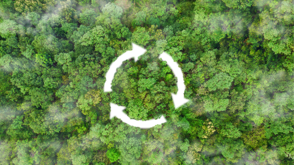 How Life Cycle Assessment drives meaningful innovation | PNO Innovation