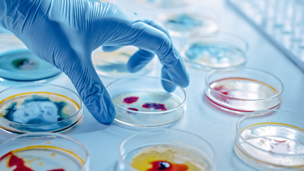EIC Pathfinder Challenge 2026: Biotechnology for Healthy Ageing | PNO ...